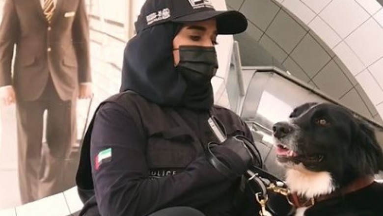 Saudi Arabia training dogs to sniff out COVID-19 infected individuals ...